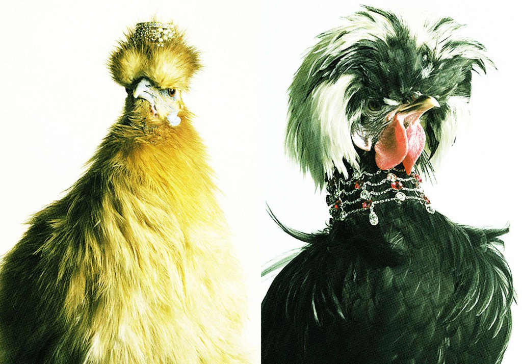 Peter Lippmann : le photographe publicitaire par excellence